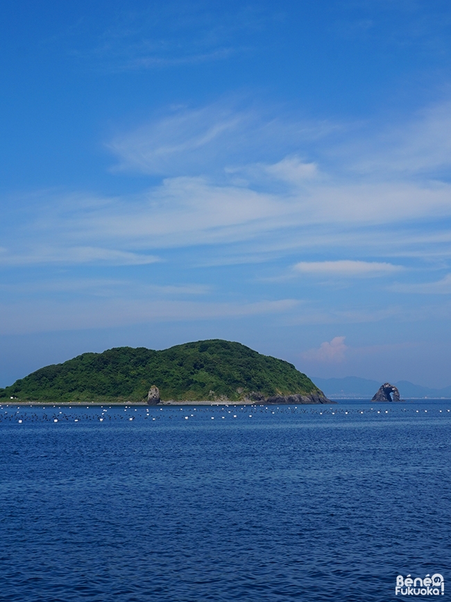 Ainoshima, l'île aux chats de Fukuoka - Béné no Fukuoka